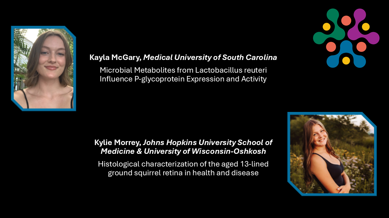 2025 Capstone Awardees